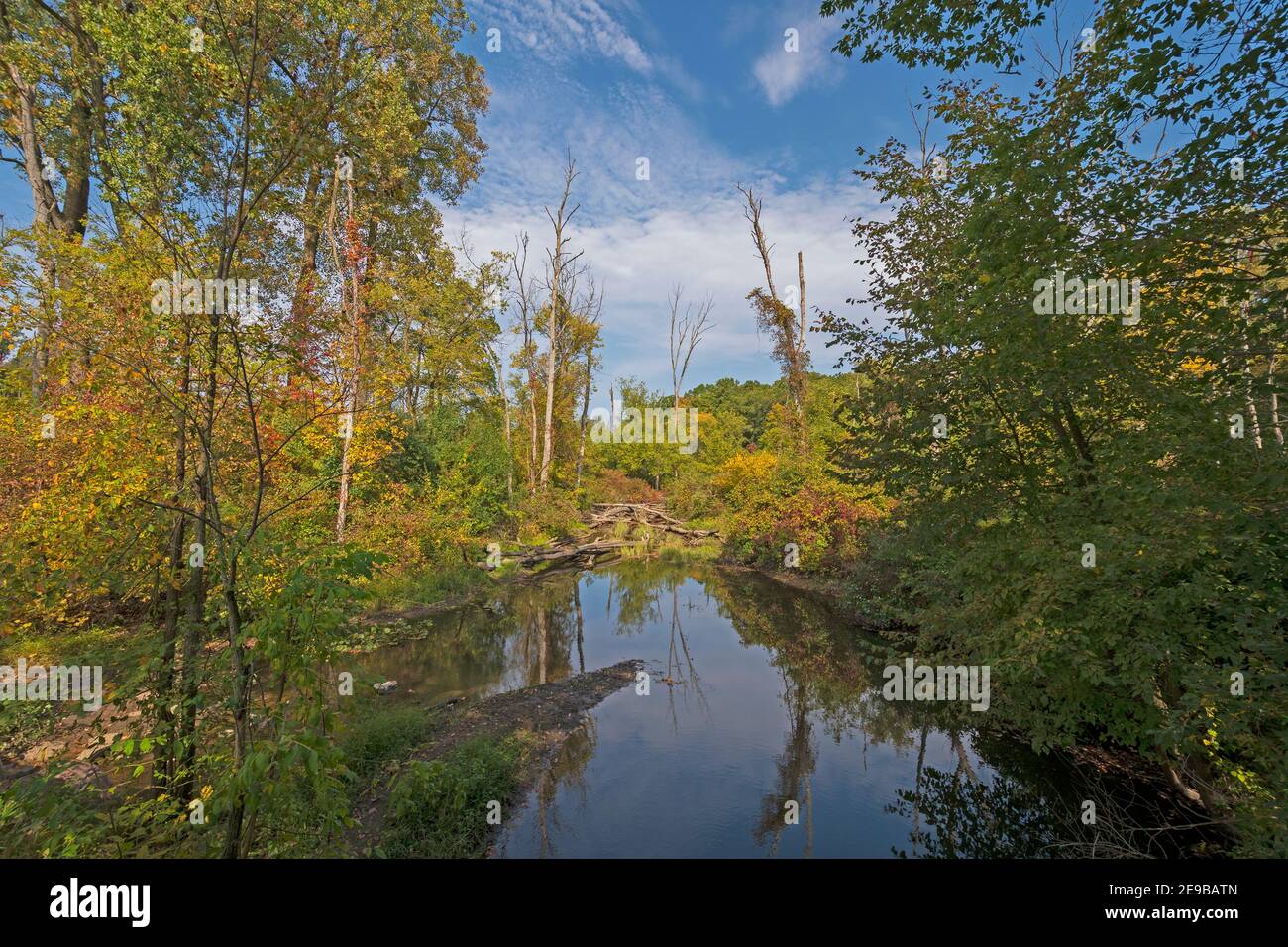 Early Fall Colors on a Quiet Creek in Rose Lake State Natural Area in ...
