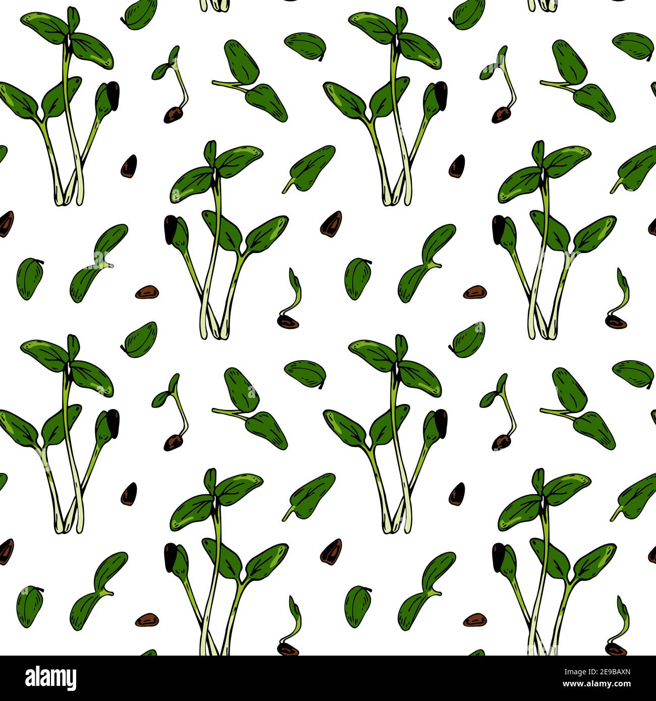 Hand drawn sunflower micro greens seamless pattern. Vector illustration ...