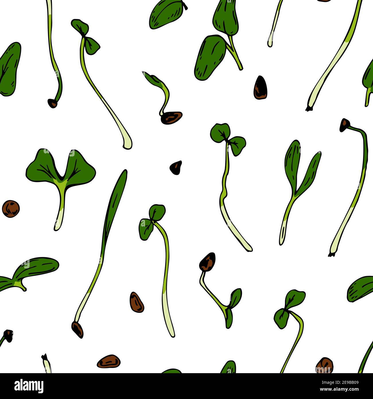 Hand drawn micro greens seamless pattern. Vector illustration in ...