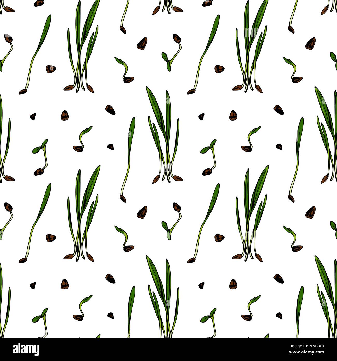 Hand drawn barley micro greens seamless pattern. Vector illustration in ...