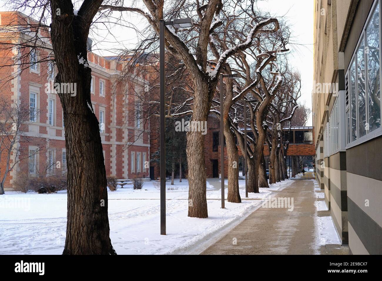 University Of Alberta Engineering Logo