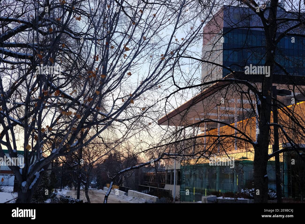 University of alberta Stock Photo - Alamy