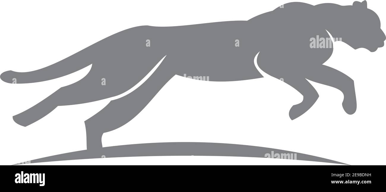 Cheetah template illustration Wild cat emblem design editable for your ...