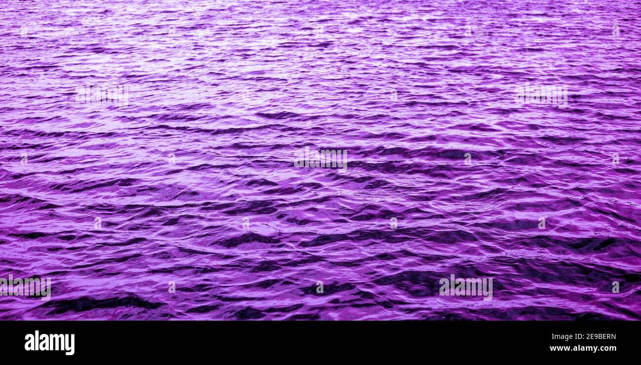 trending purple waves texture background Stock Photo - Alamy