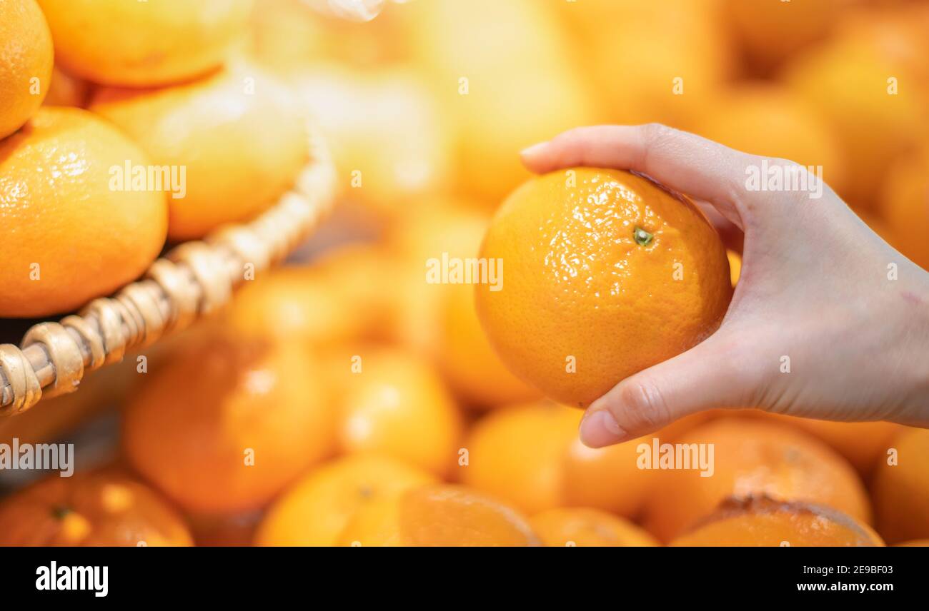 Female hands holding the fresh orange for spin to orange juice at the ...