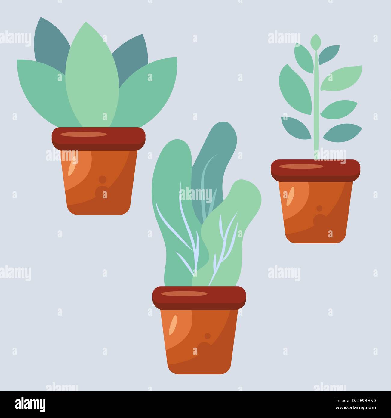 house plant vector illustration in flat style set Stock Vector Image ...