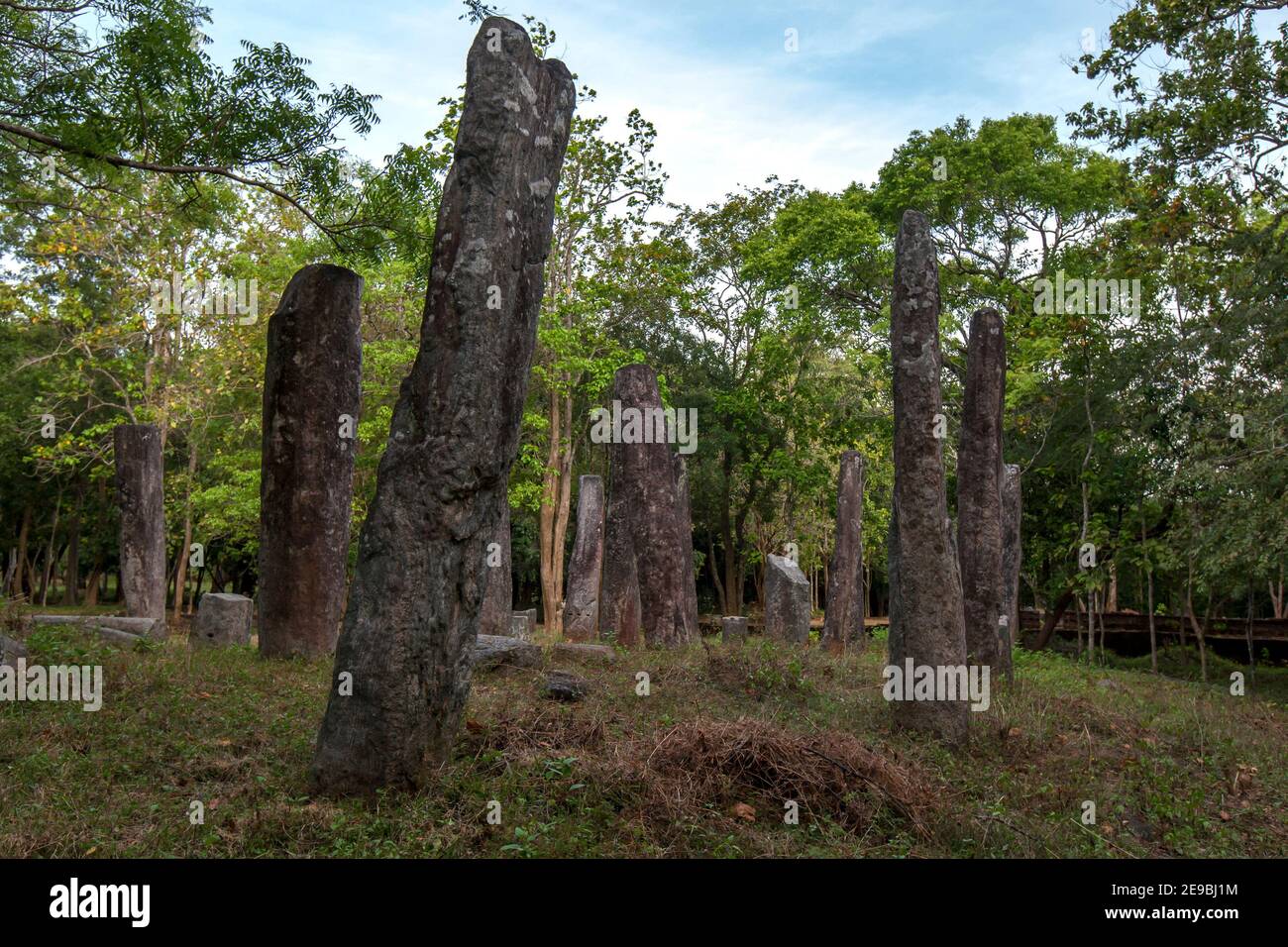 Ancient stone pillars belonging to a building at the Pidurangala Temple ...