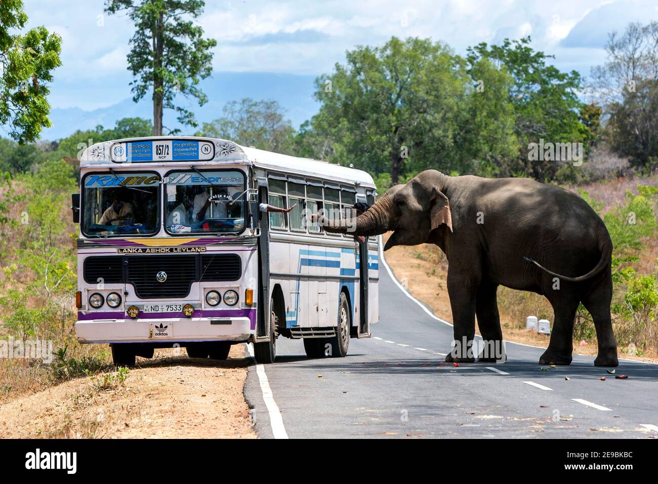 Food bus hi-res stock photography and images - Alamy