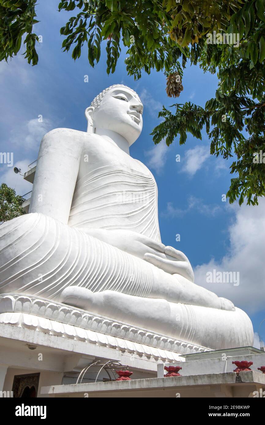 Seated sitting posture hi-res stock photography and images - Alamy