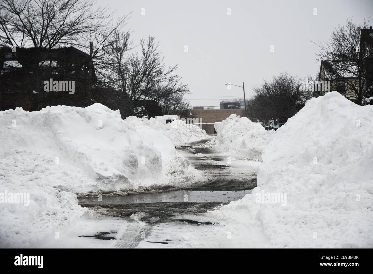SNOWPOCALYPSE NOW: Winter storm Orlena brings heavy snow and tropical ...