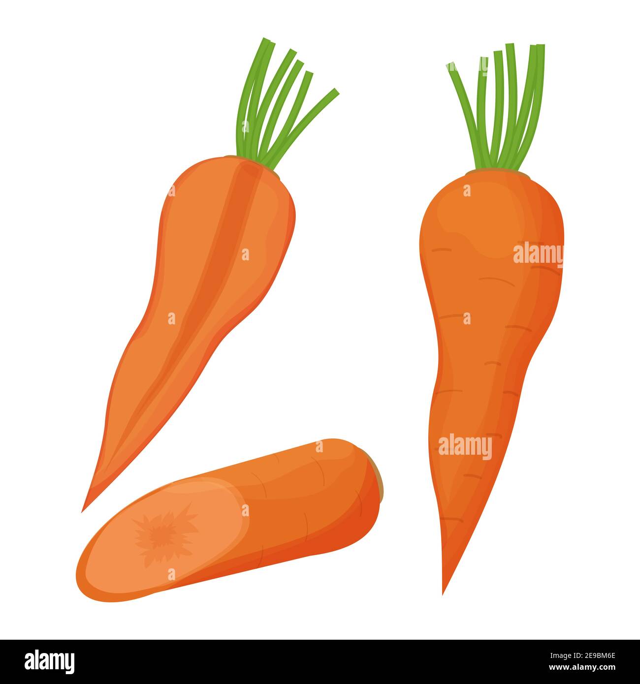 Raw carrot and half part in cartoon style isolated on white background ...