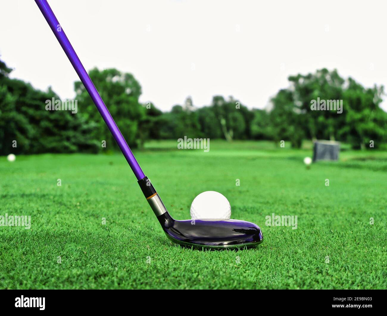 Still life of a golf club addressing a ball on the tee Stock Photo - Alamy
