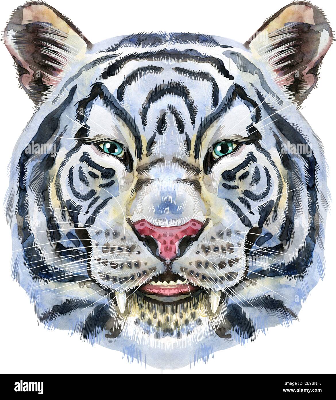 Watercolor illustration of white smiling tiger Stock Photo - Alamy