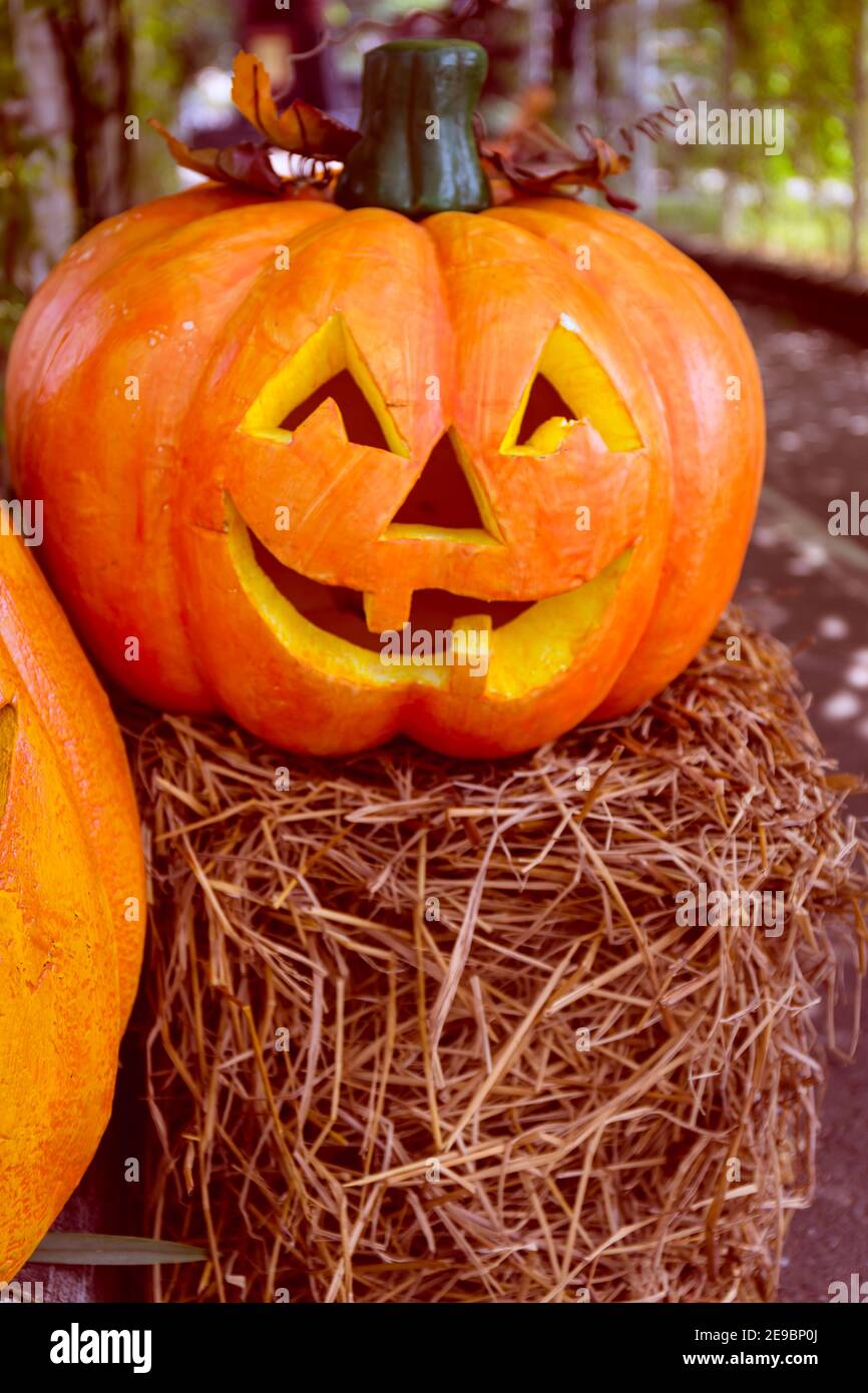 Halloween scary pumpkin with a smile Stock Photo - Alamy
