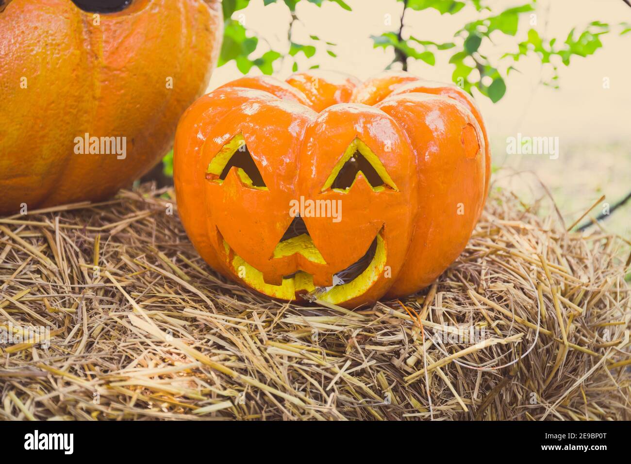 Halloween scary pumpkin with a smile Stock Photo - Alamy