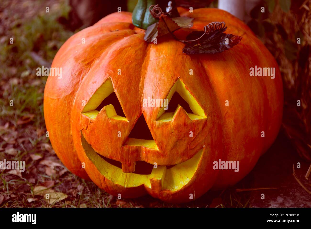 Halloween scary pumpkin with a smile Stock Photo - Alamy