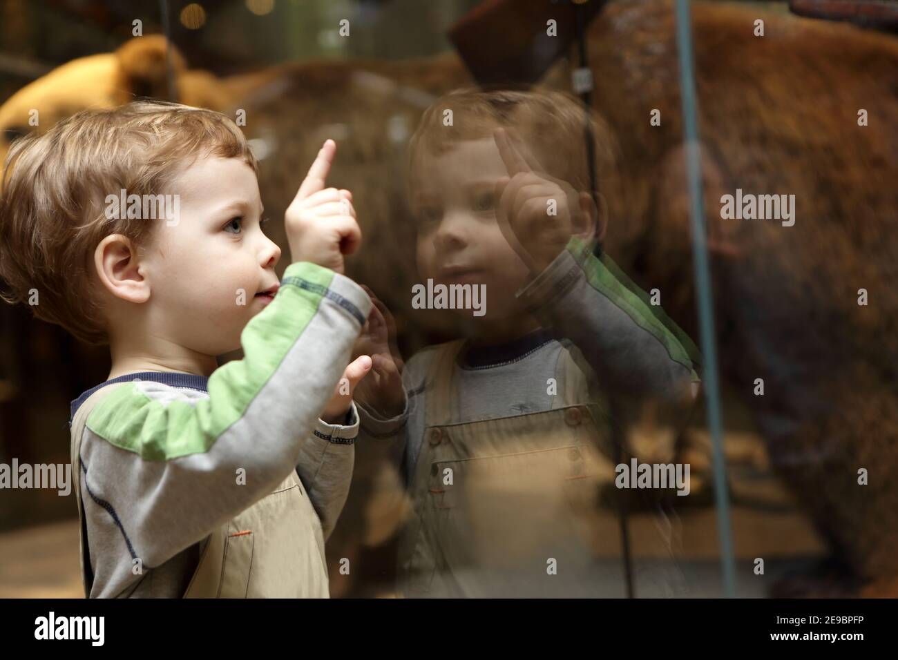 Portrait of curiosity child in a museum Stock Photo - Alamy
