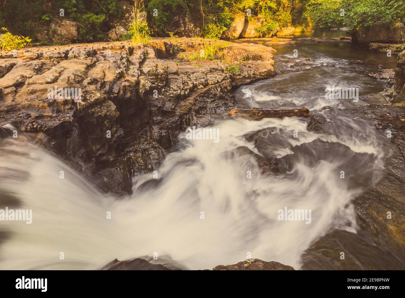 forest waterfall, Nature Stock Photo - Alamy