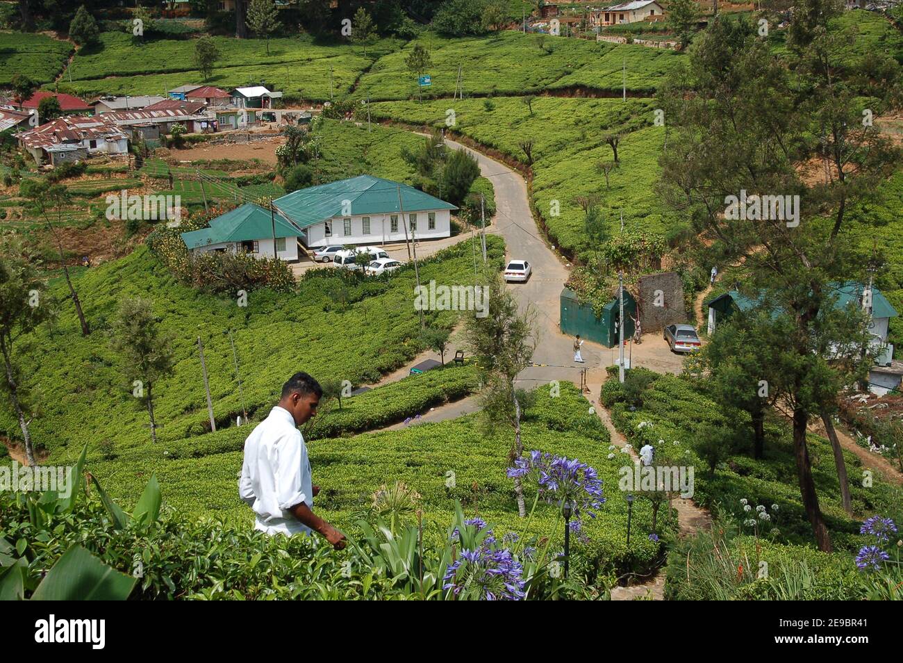 Gangle hi-res stock photography and images - Alamy