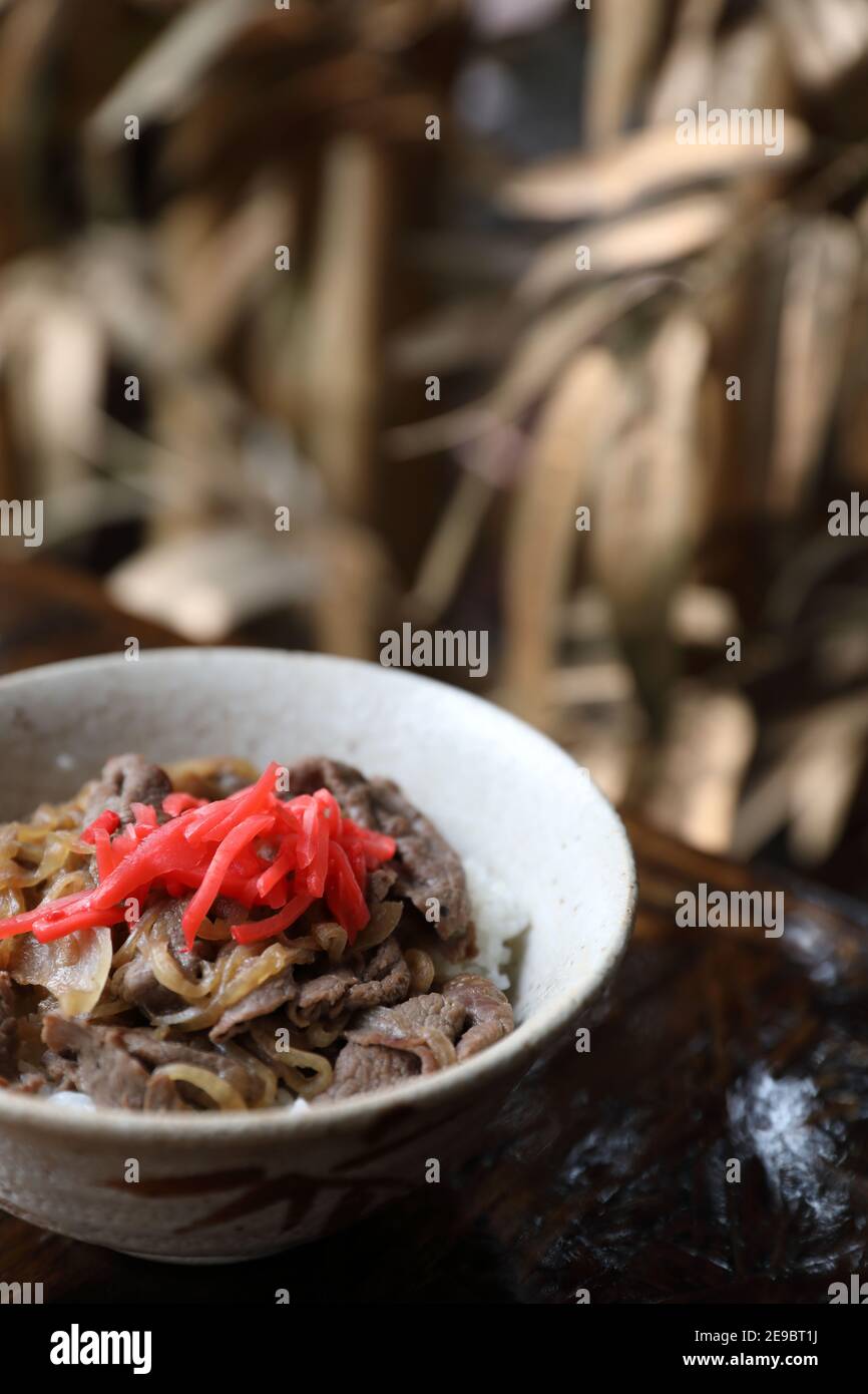 Gyudon Japanese beef rice bowl in close up Japanese local food Stock ...
