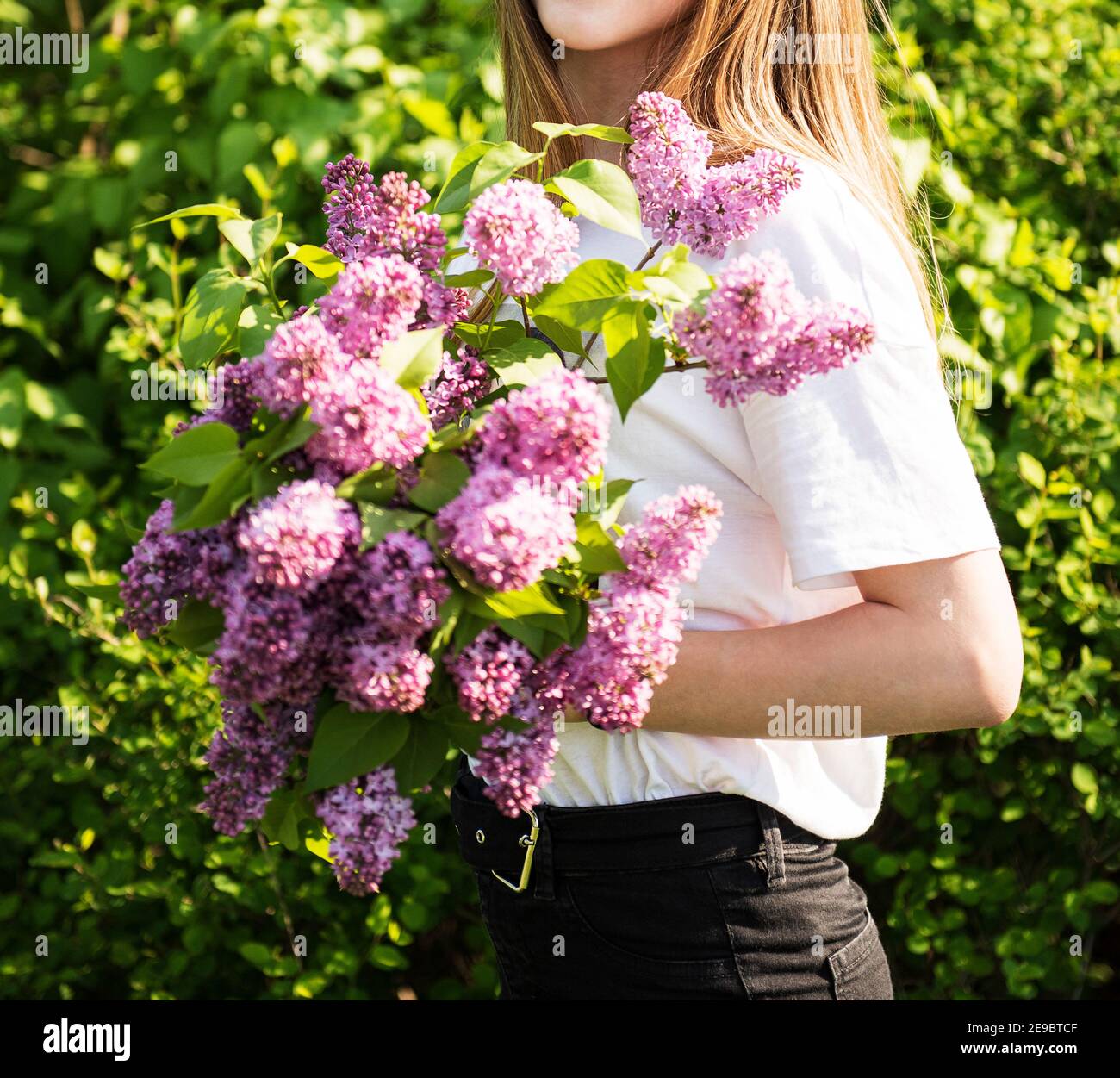Hands woman holding lilac hi-res stock photography and images - Alamy