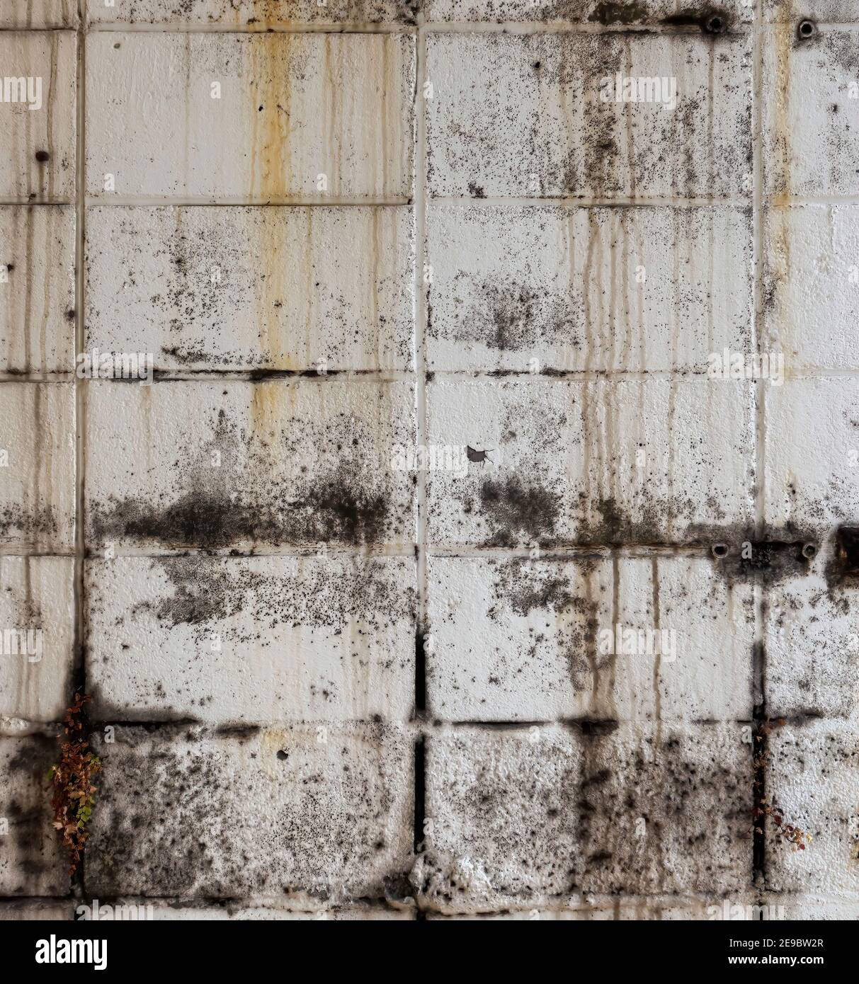 A weathered concrete wall, in various colors of decay became a perfect ...