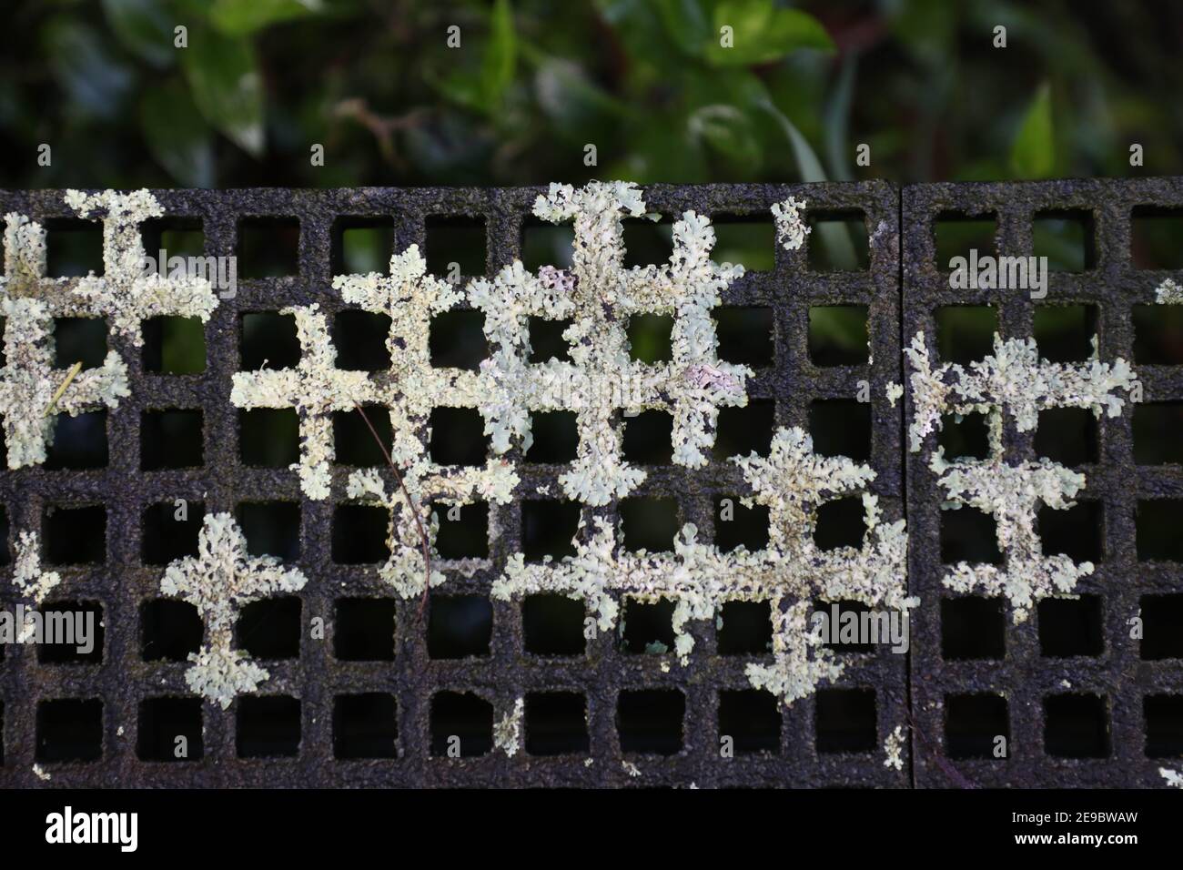 Field of mars reserve hi-res stock photography and images - Alamy