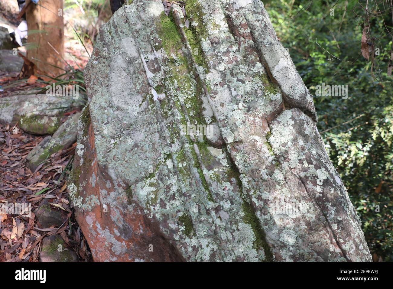 Field of mars reserve hi-res stock photography and images - Alamy