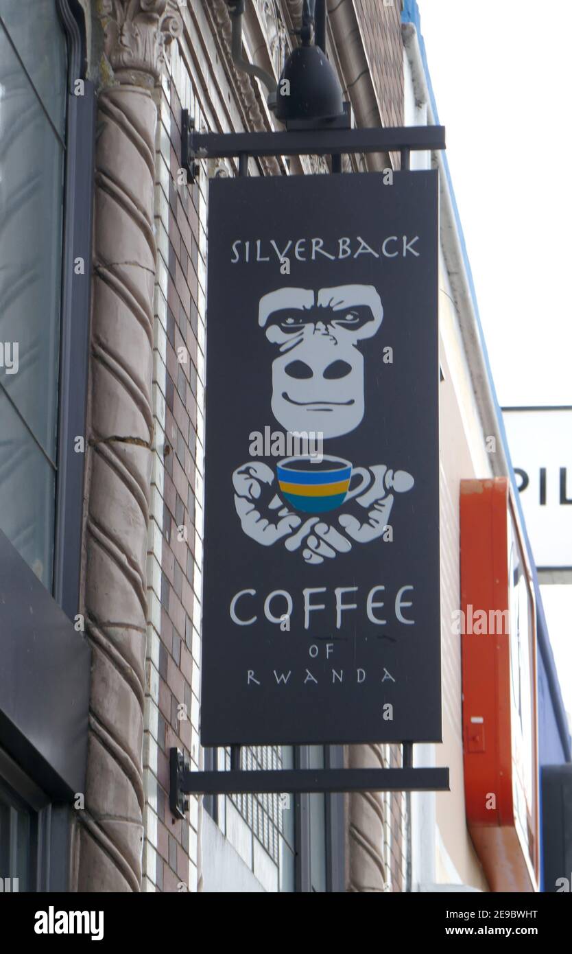 Silverback coffee of rwanda hi-res stock photography and images - Alamy