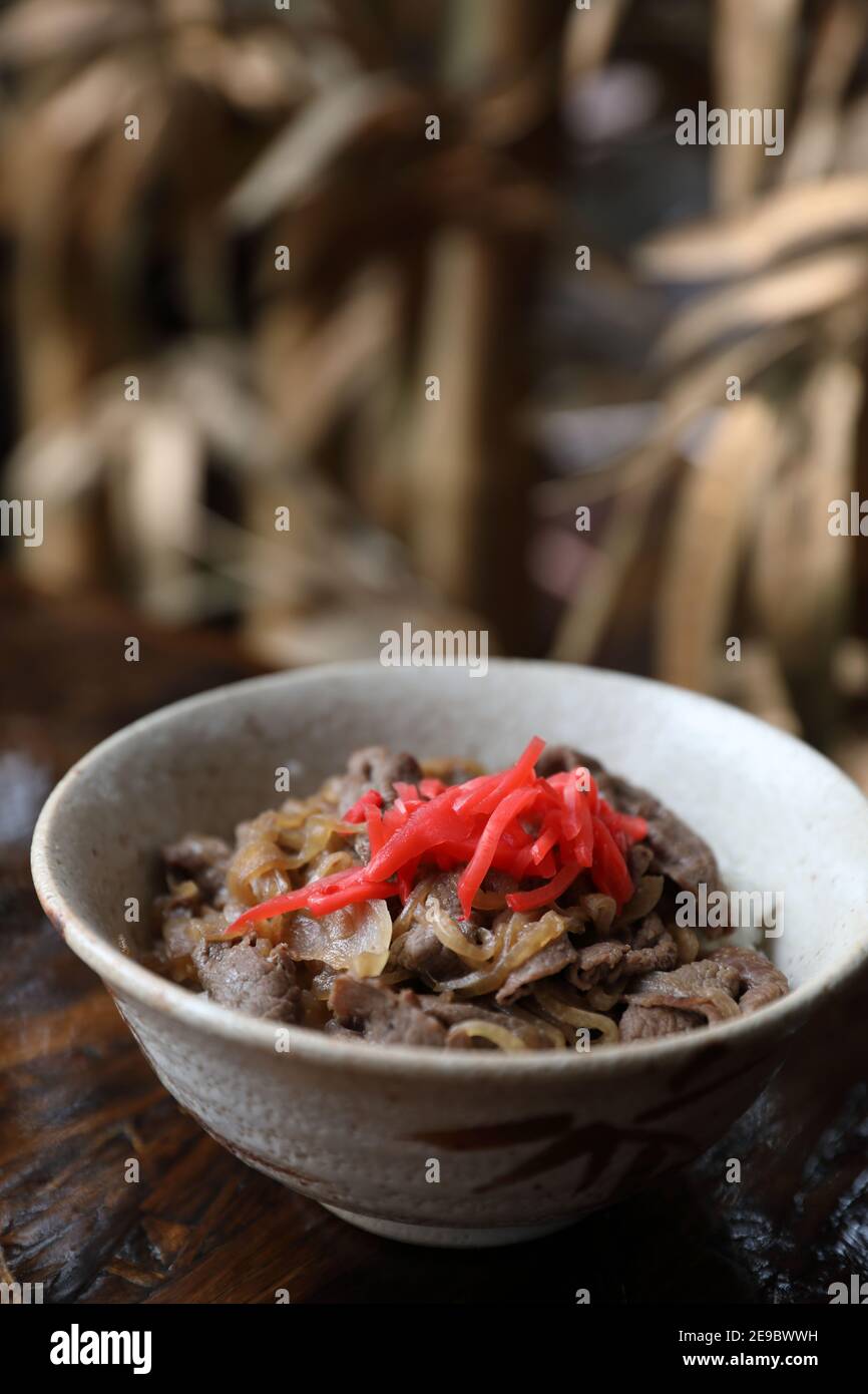 Gyudon Japanese beef rice bowl in close up Japanese local food Stock ...