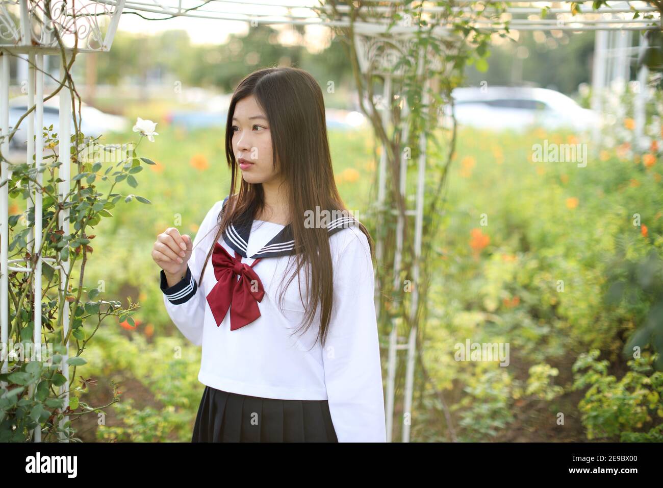 school girl costume at park outdoor with flowers garden background ...