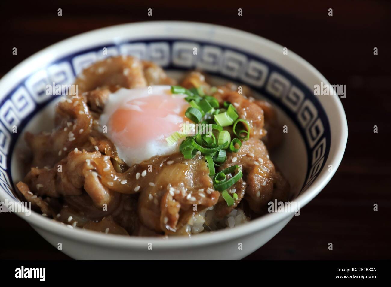 pork rice bowl with egg on wood backround japanese local food butadon ...