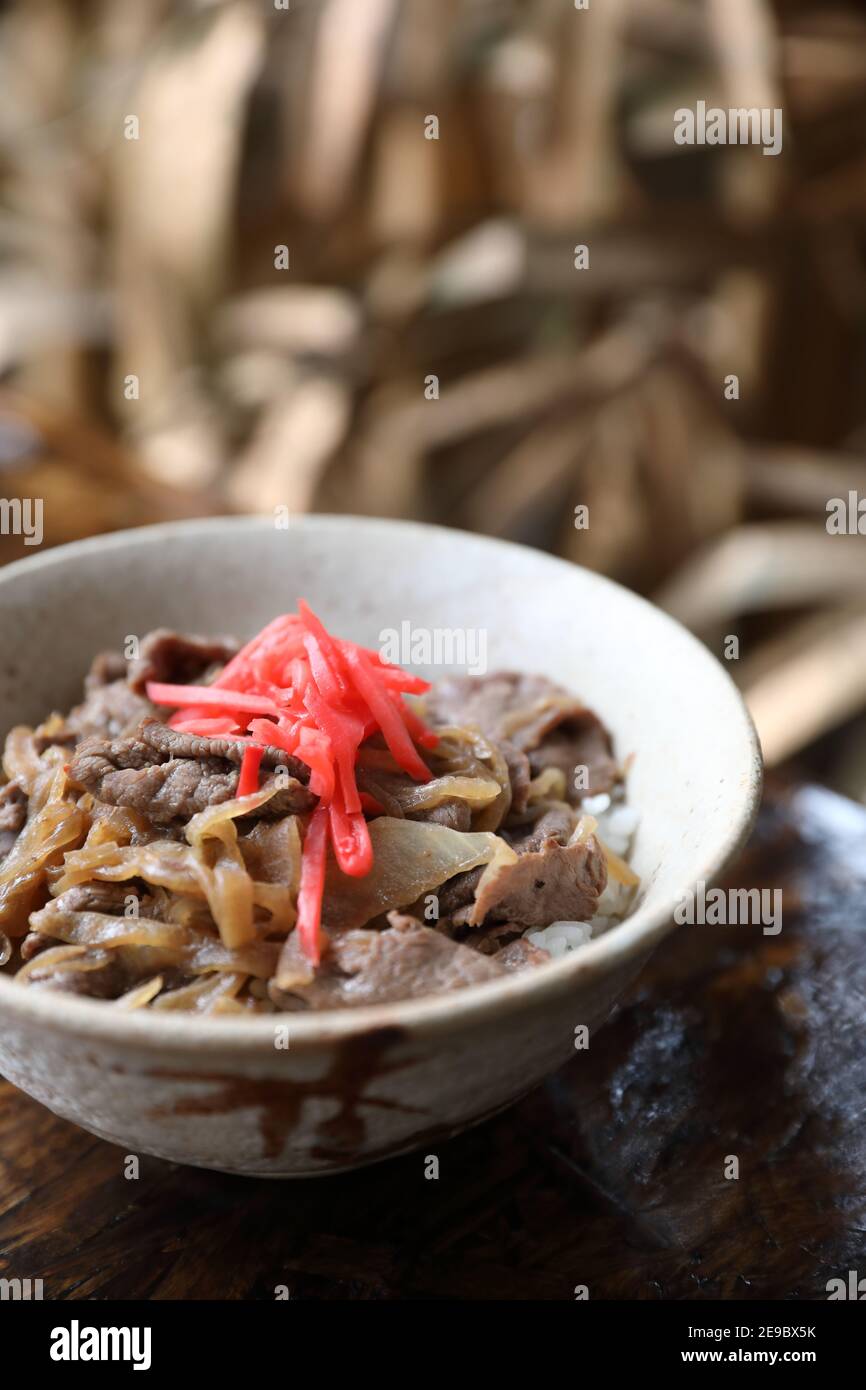 Gyudon Japanese beef rice bowl in close up Japanese local food Stock ...