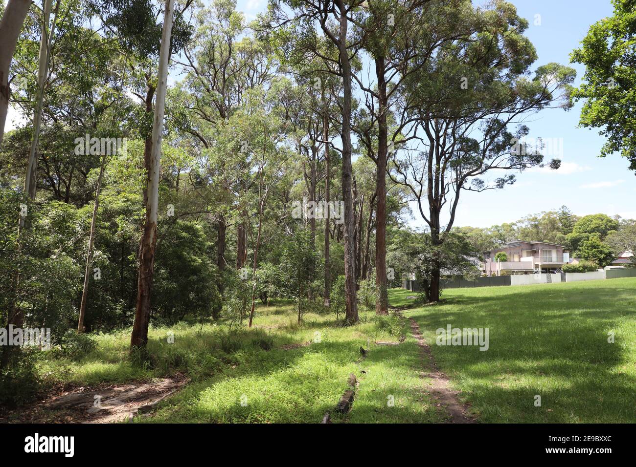 Portius Park, East Ryde, Sydney, NSW, Australia Stock Photo - Alamy