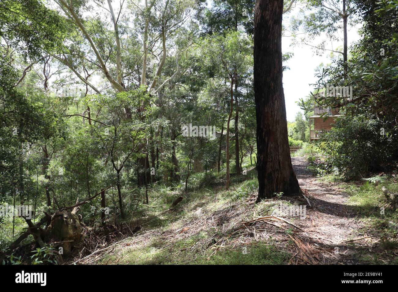 Portius Park, East Ryde, Sydney, NSW, Australia Stock Photo - Alamy