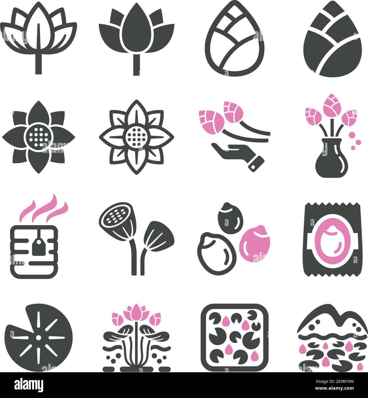 Pink water lily blossom lotus Stock Vector Images - Alamy