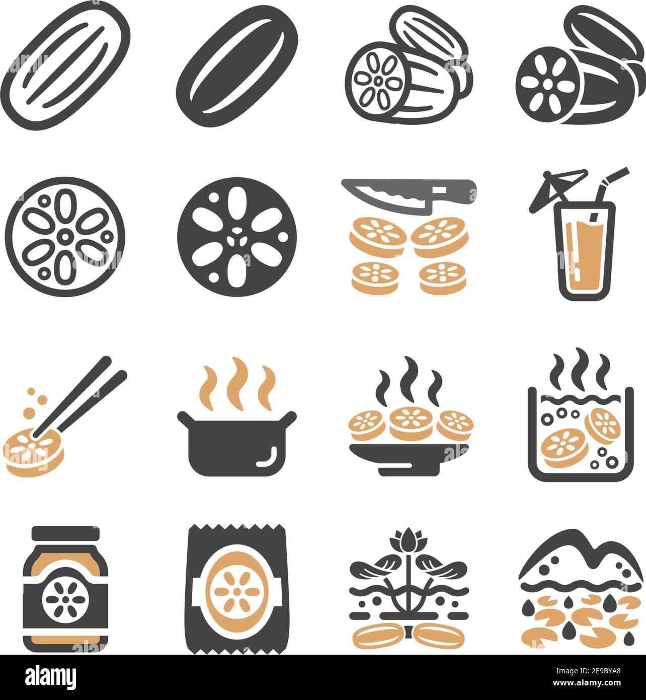 lotus root icon set,vector and illustration Stock Vector Image & Art ...