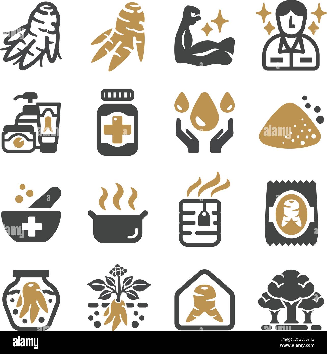 ginseng icon set,vector and illustration Stock Vector Image & Art - Alamy