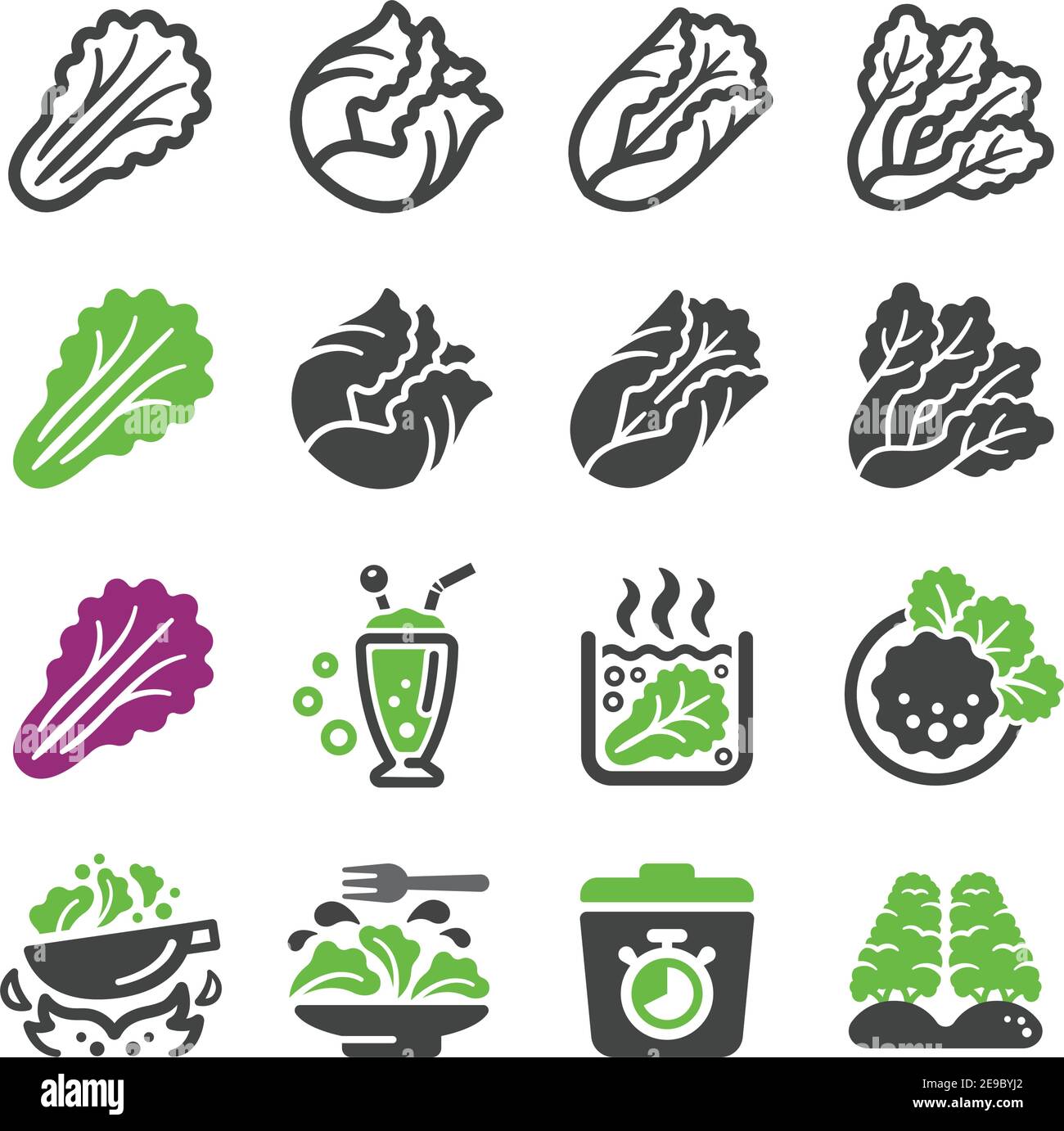 Lettuce plant set romaine Cut Out Stock Images & Pictures - Alamy