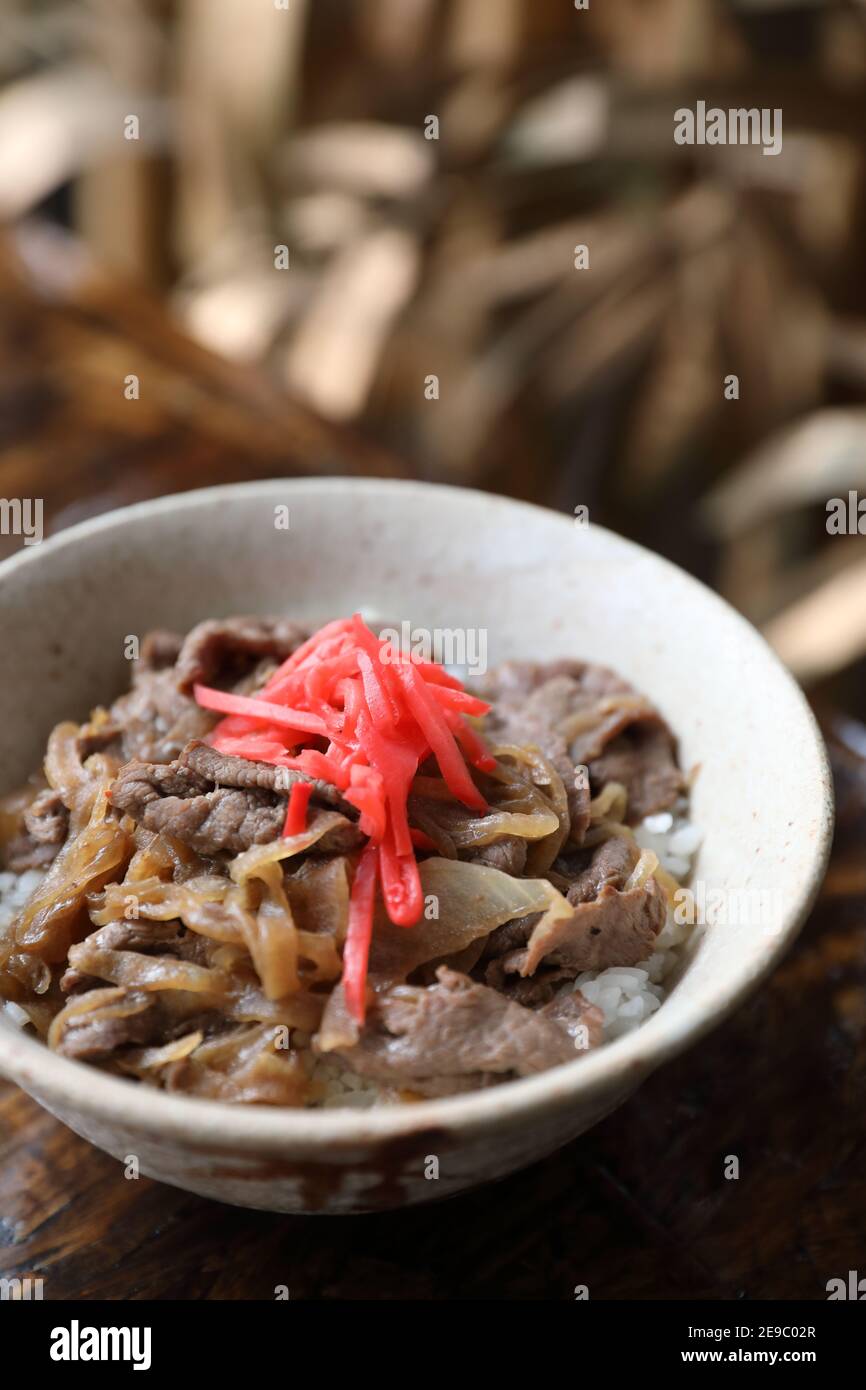 Gyudon Japanese beef rice bowl in close up Japanese local food Stock ...