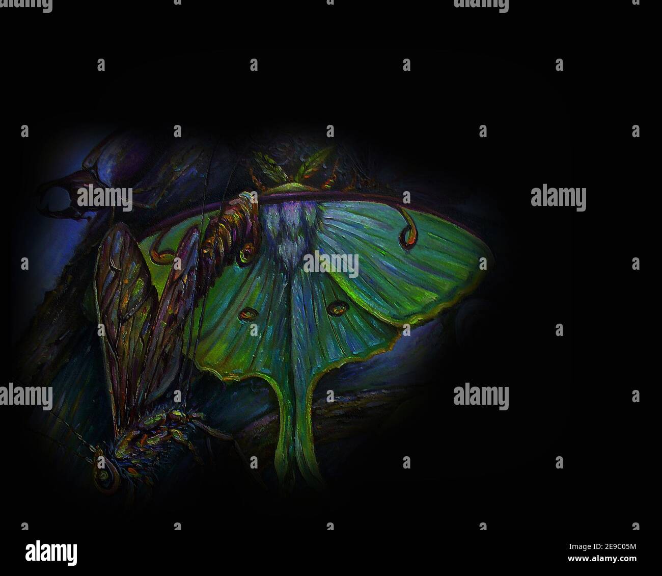 Art painting backgrounds for design Oil color Insect growth , Night ...