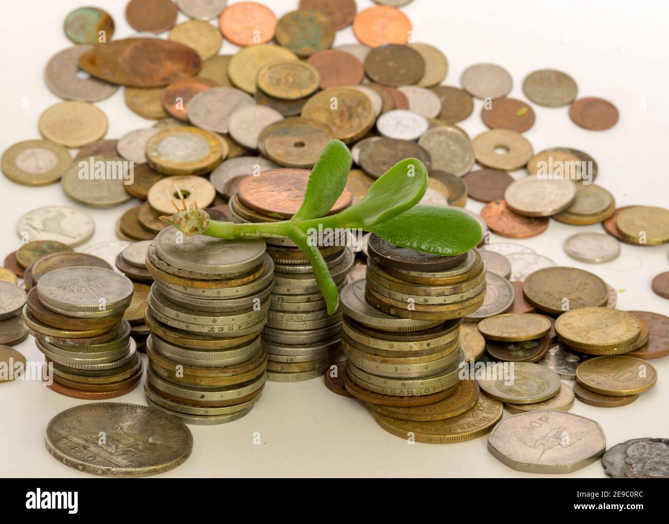 old metal coins of various shapes, countries and values, green money ...
