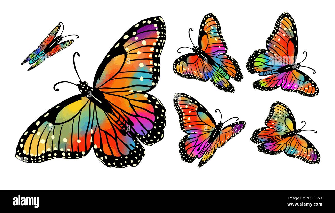 A set of colorful butterflies. Vector Stock Vector Image & Art - Alamy
