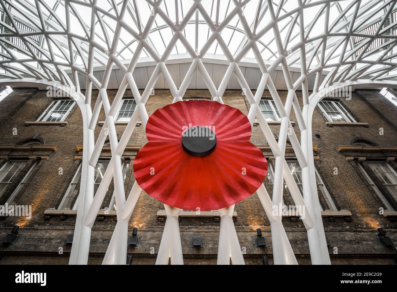 Giant red poppy mounted to abstract curved roof pattern architecture in ...