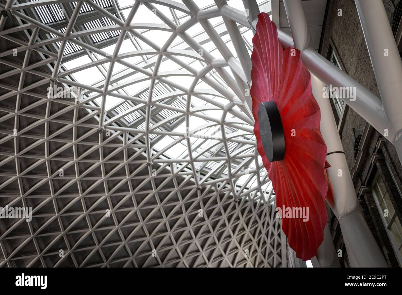Giant red poppy mounted to abstract curved roof pattern architecture in ...