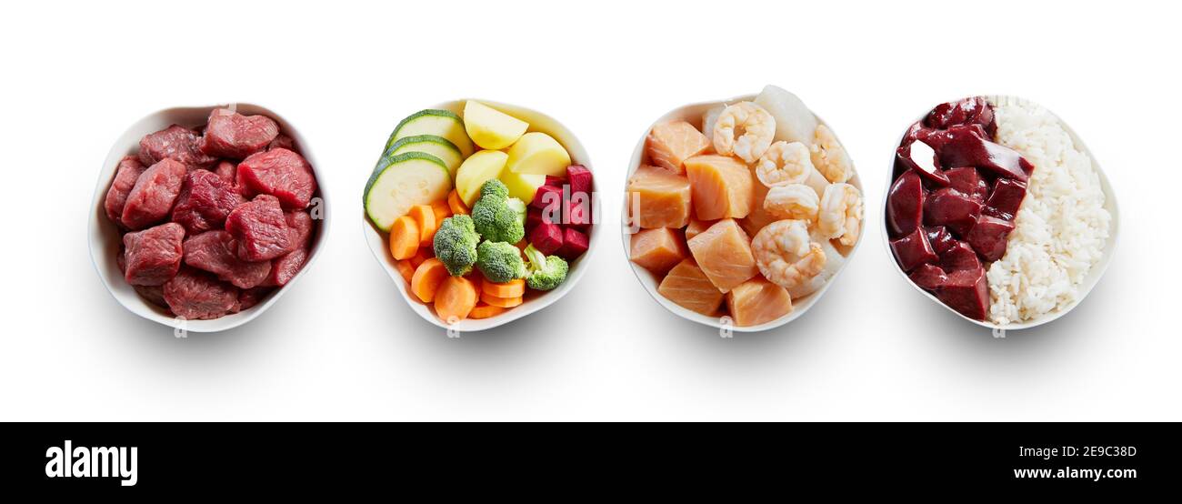 Dogs, Cats and other animals Food in a overhead position in some bowls ...