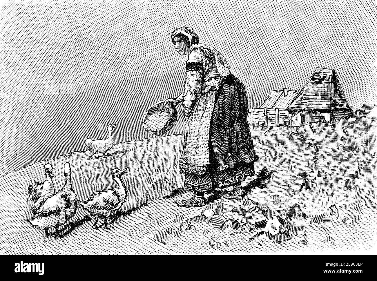 Peasant woman in Bulgaria feeds the geese, illustration from 1880 ...