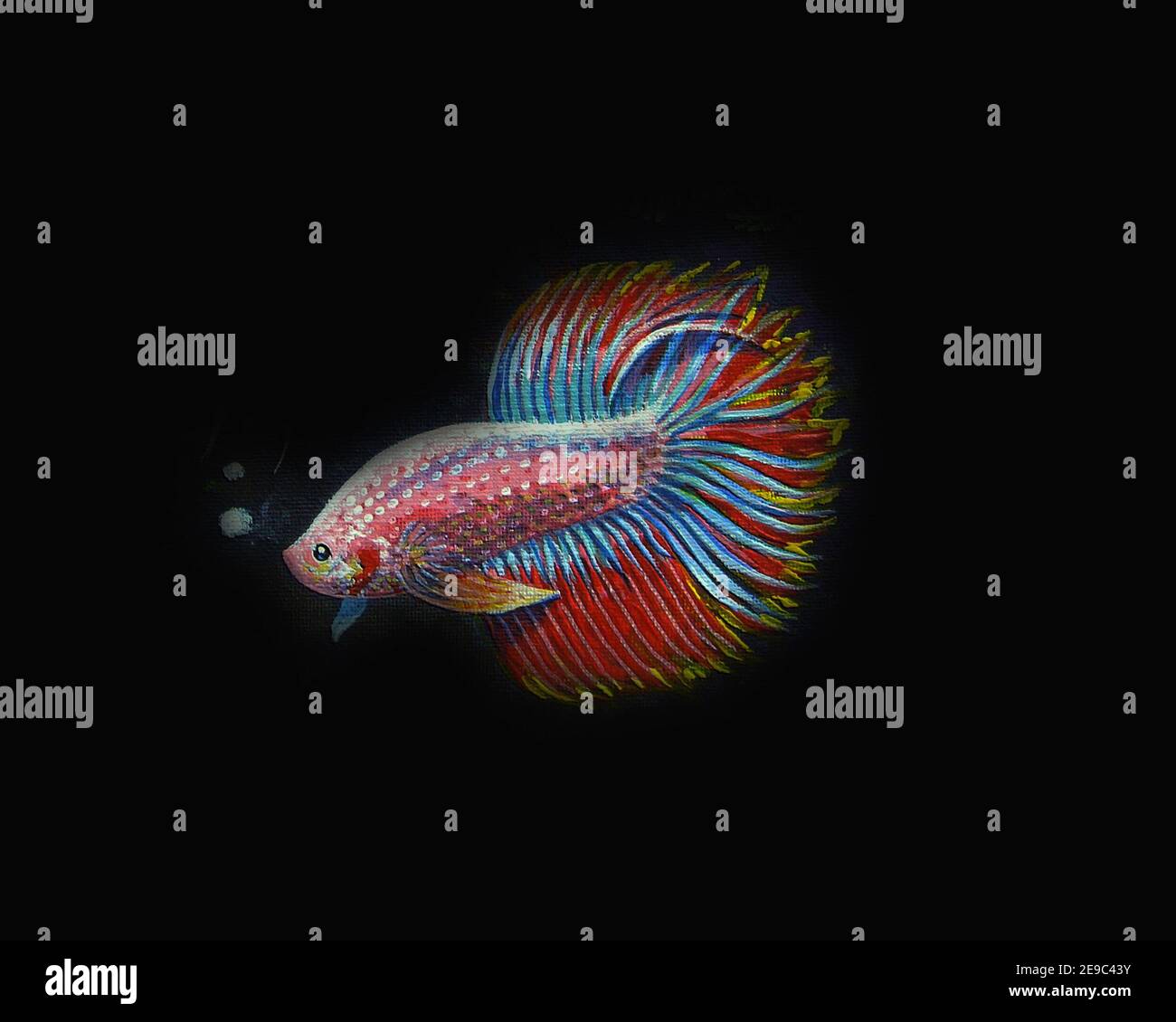 Art, painting ,Acrylic color , Betta fish , design , background, from ...