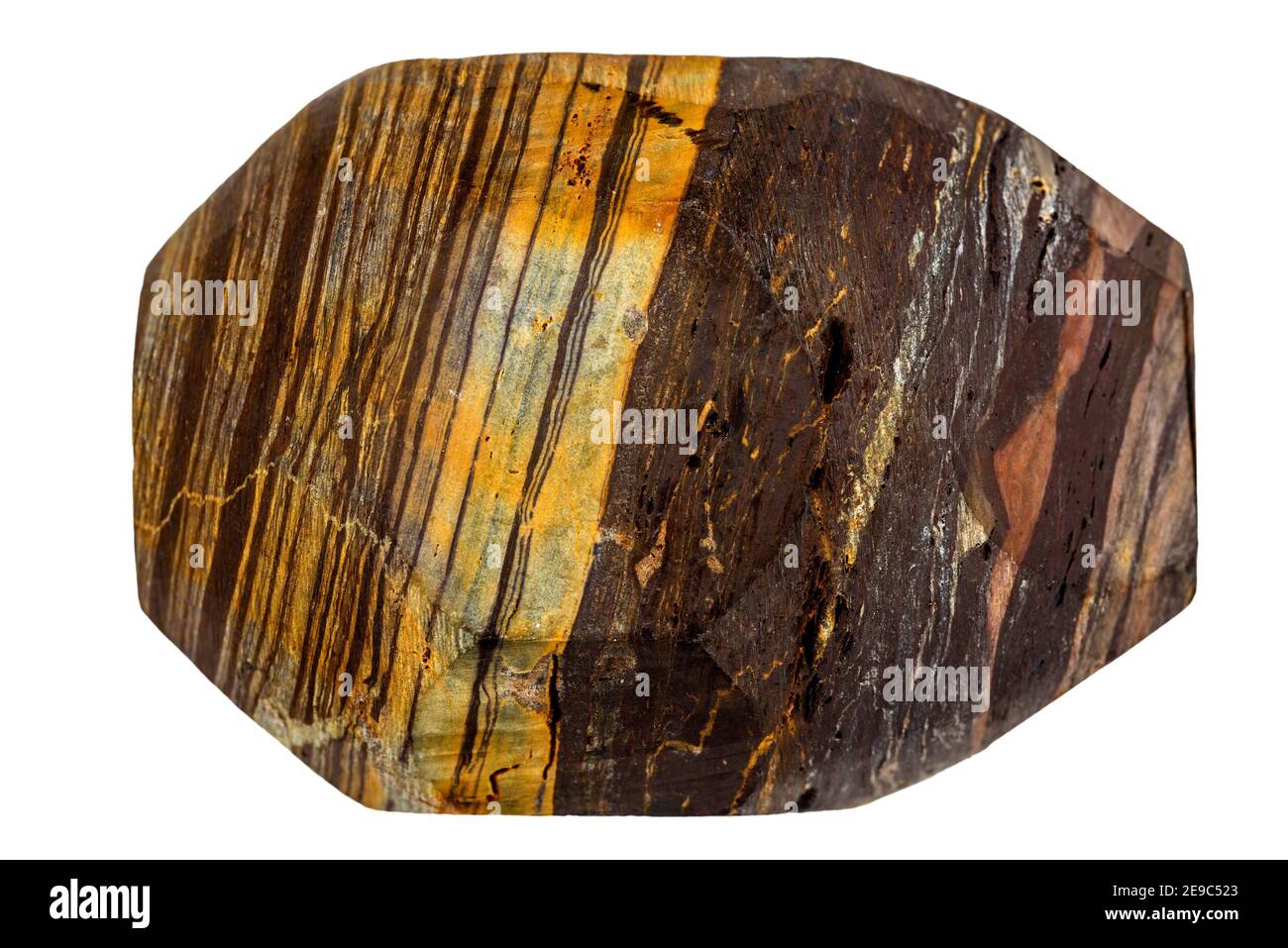 Inside the eye Cut Out Stock Images & Pictures - Alamy
