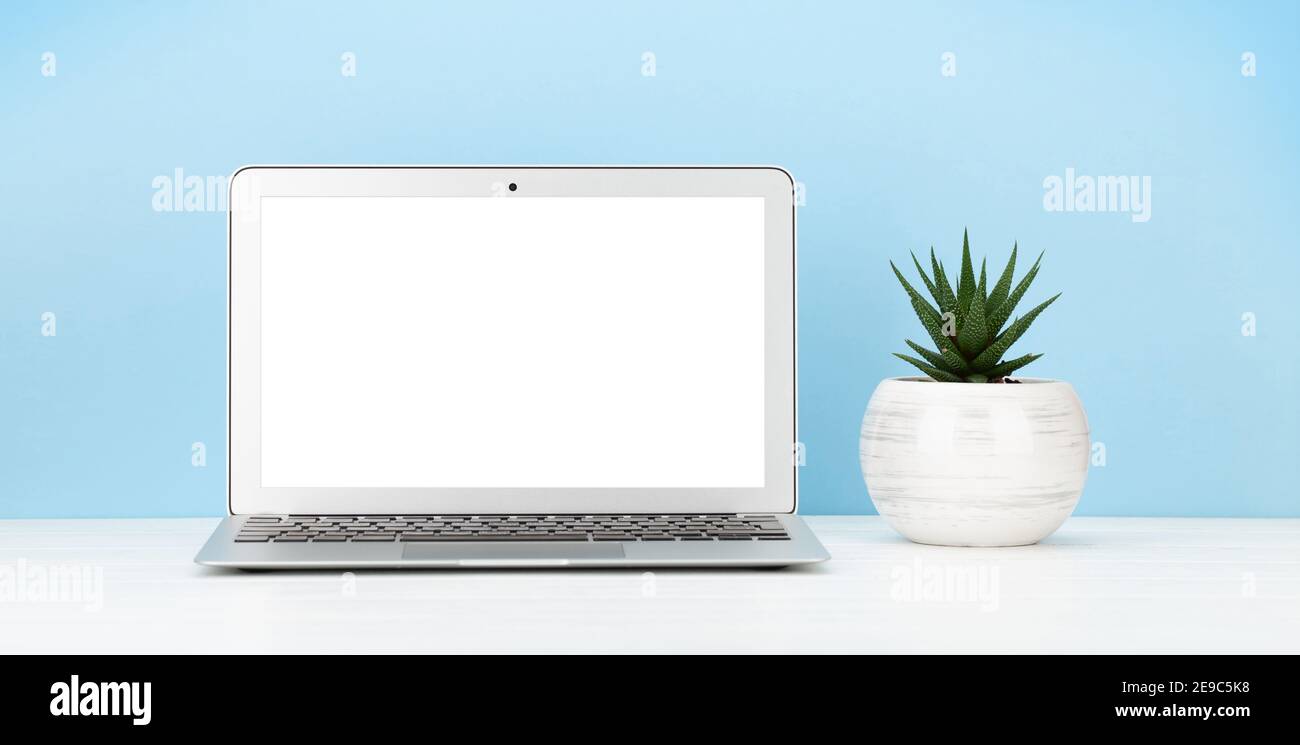 Computer monitor potted plant hi-res stock photography and images - Alamy